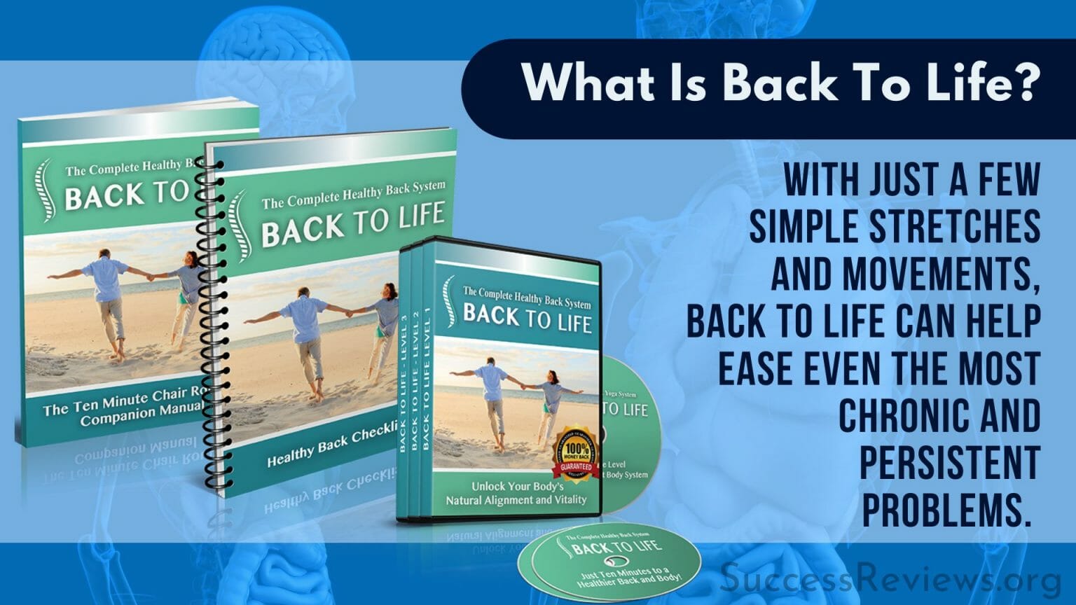 Back to Life Review - Can You Eliminate Back Pain for Good?
